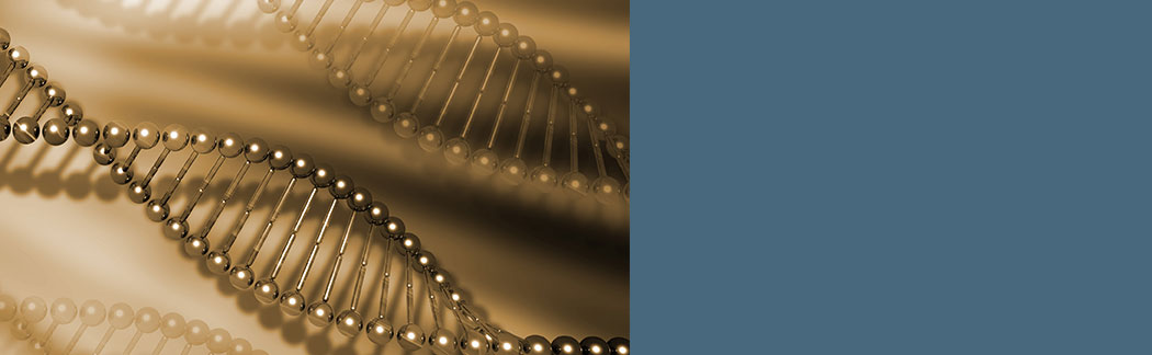 American Medical Technologists (AMT) Home